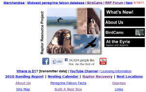 Raptor Resource Project | Animals - LearningReviews