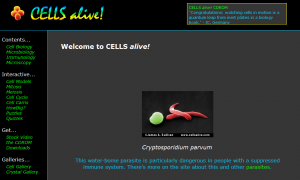 Review of CELLS alive! | Biology - LearningReviews