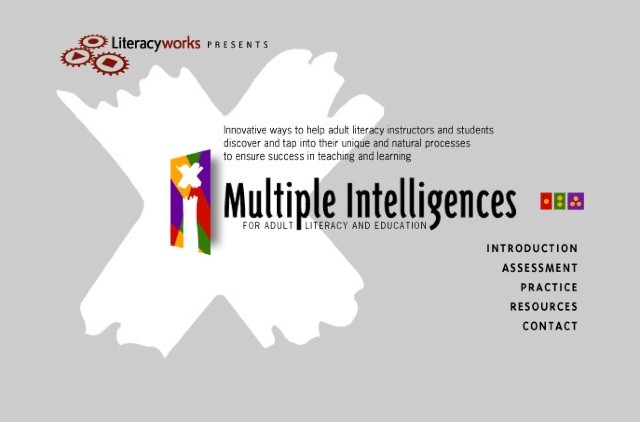 Review of Multiple Intelligences Interactive Assessment | Multiple ...