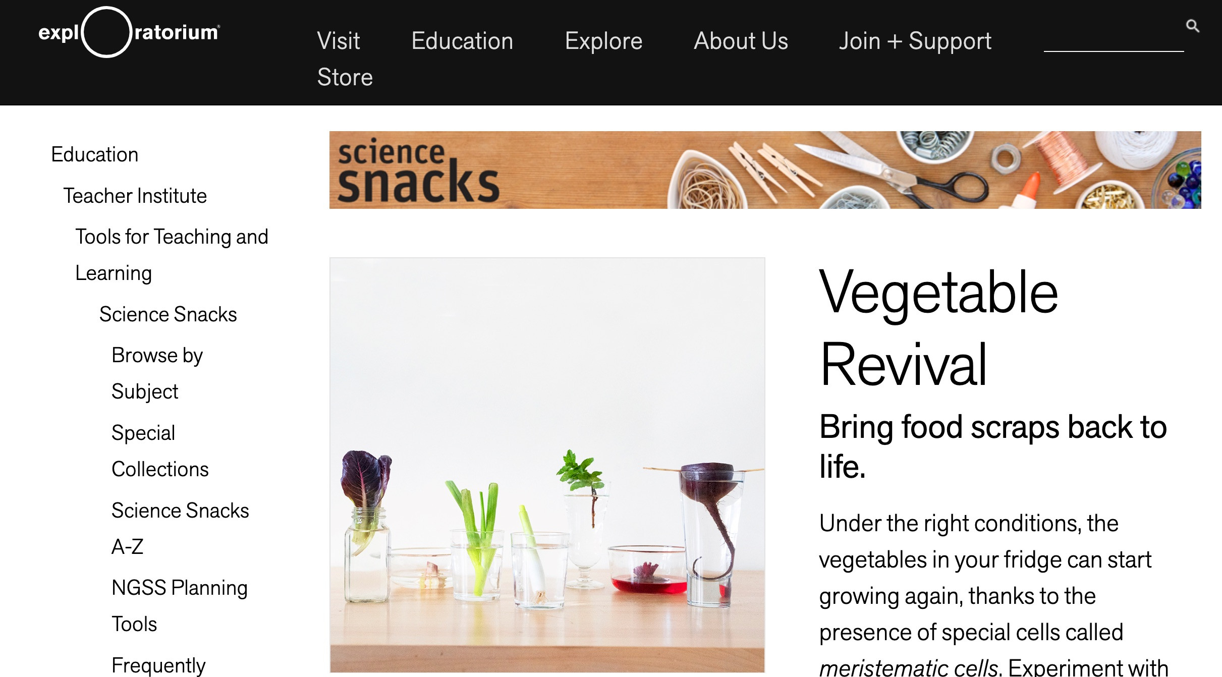 Exploratorium Plant Activities | Plants - LearningReviews