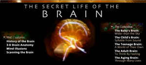 Review of Secret Life of the Brain | Human Body & Anatomy - LearningReviews