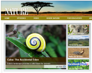 PBS Nature | Animals - LearningReviews