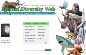 Animal Diversity Web | Animals - LearningReviews