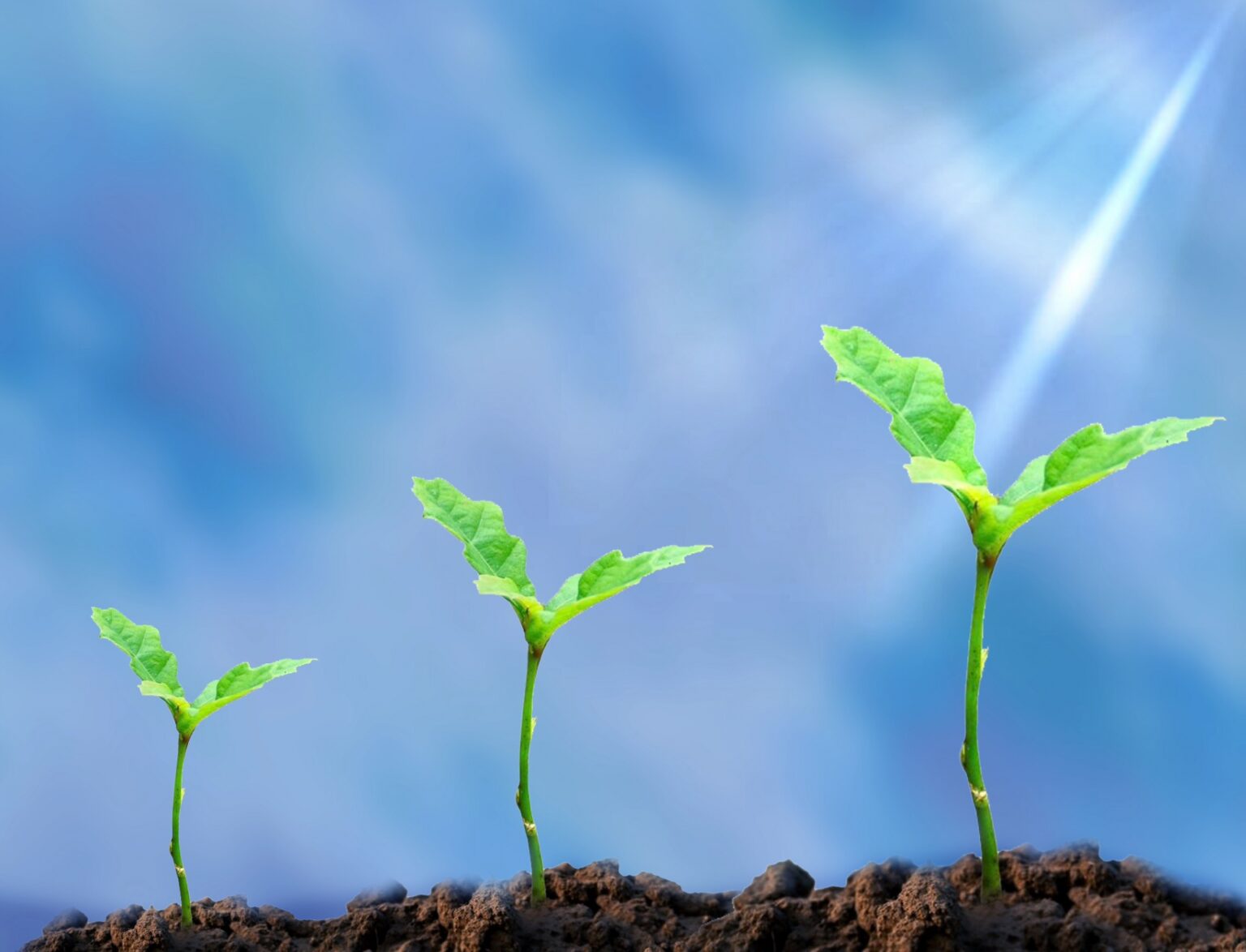 Top 100 Science Fair Projects - Updated for 2022 - LearningReviews