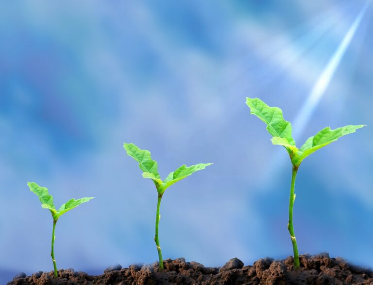 Top 100 Science Fair Projects - Updated for 2022 - LearningReviews